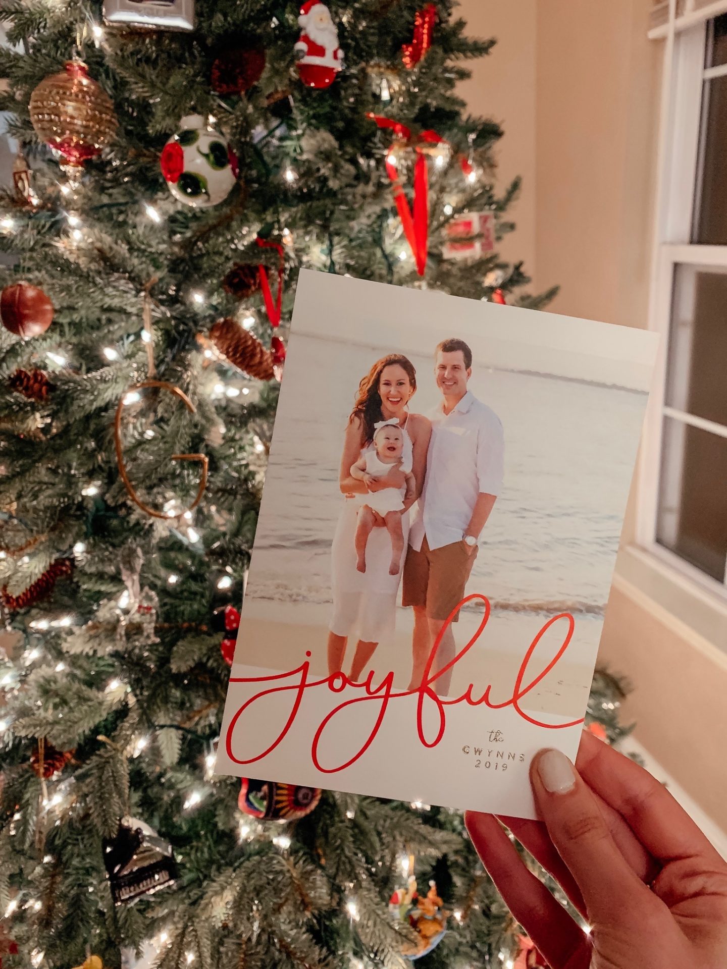 MERRY CHRISTMAS from us to you! (Our 2019 Christmas Card)